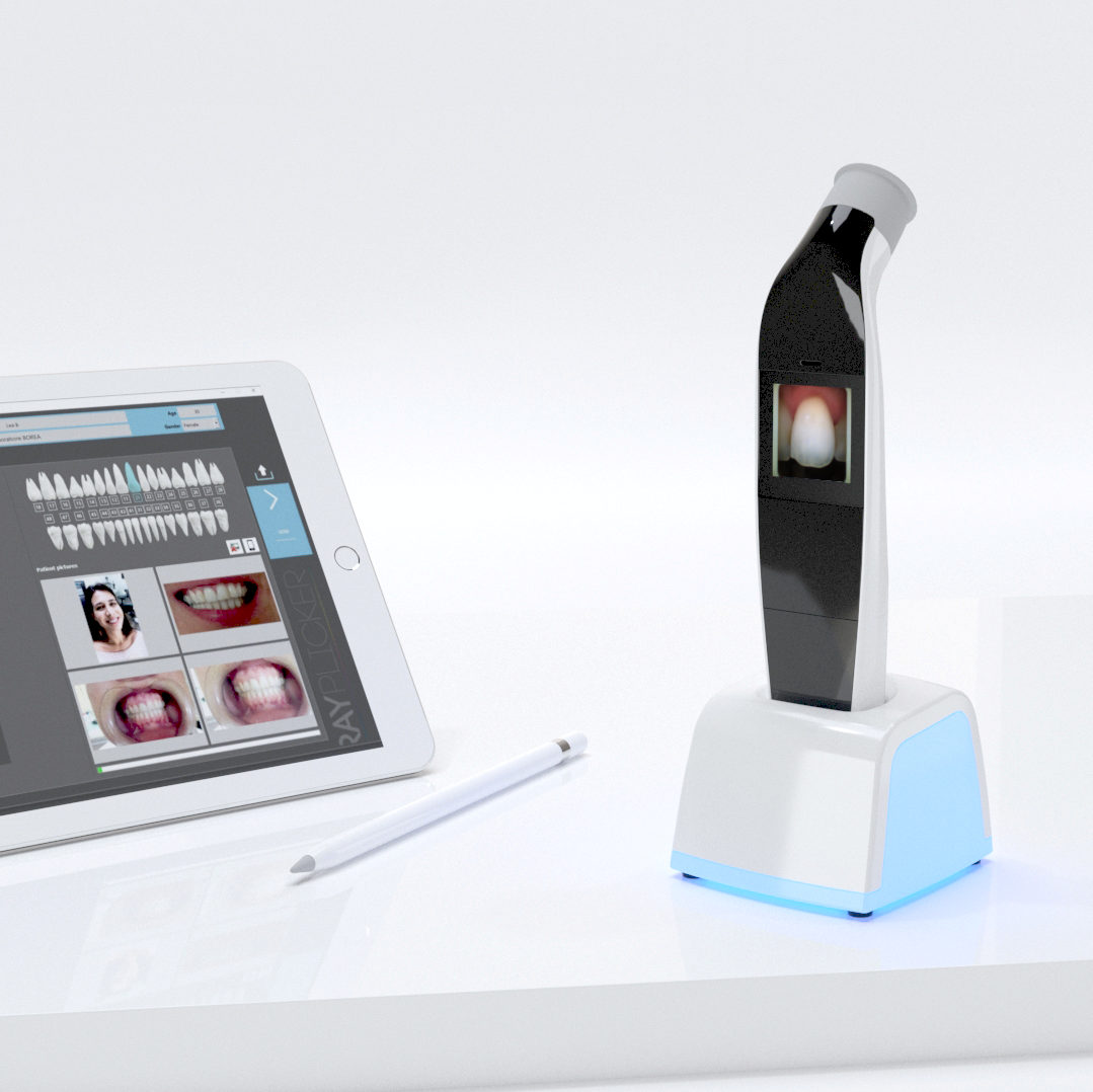 BOREA lève 1,5M€ auprès du Groupe Turenne Capital et du family office ...